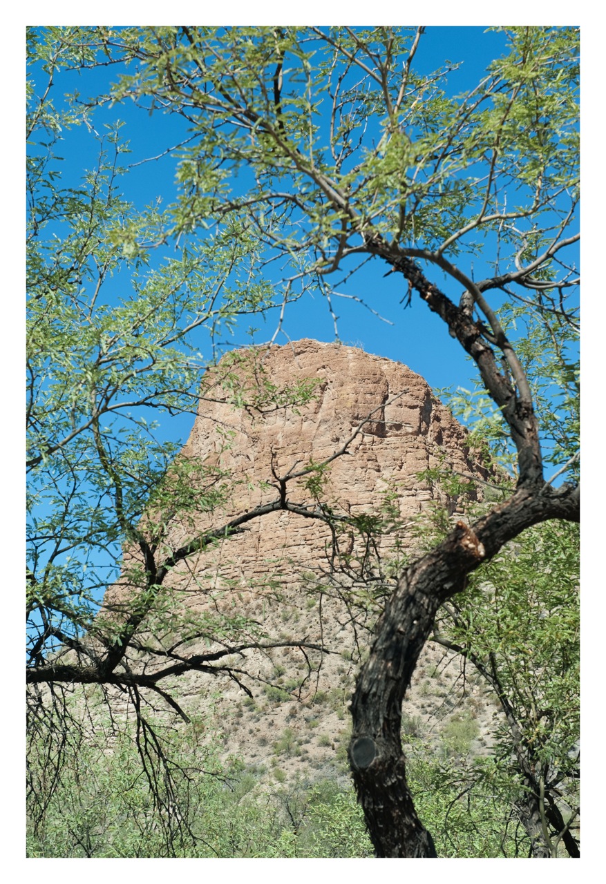 Revisiting my Old Stomping Grounds....Beautiful Arizona! - Deonna ...