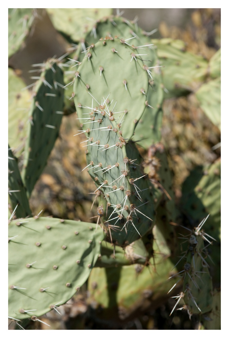 Revisiting my Old Stomping Grounds….Beautiful Arizona! – Deonna Caruso ...