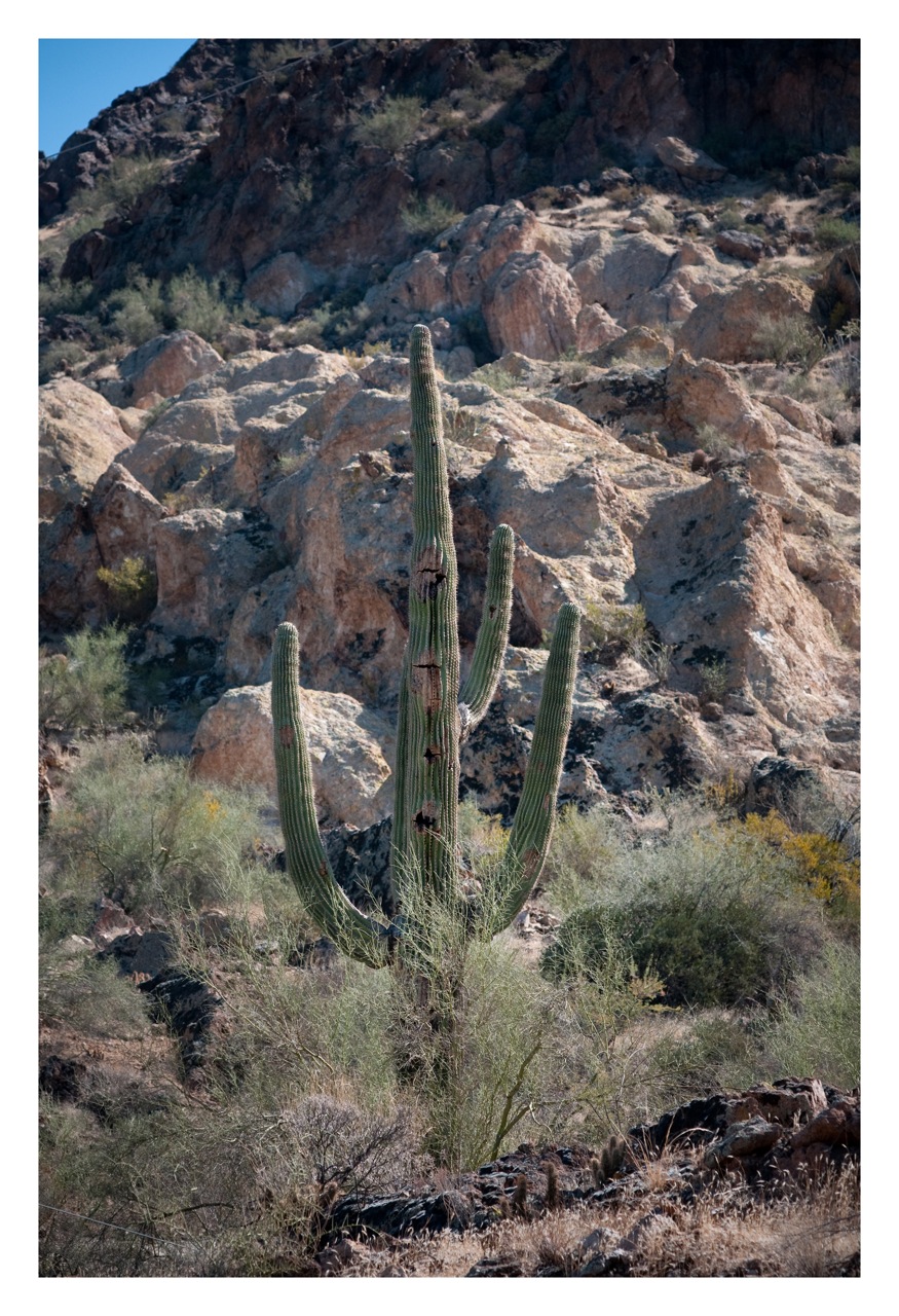 Revisiting my Old Stomping Grounds….Beautiful Arizona! – Deonna Caruso ...